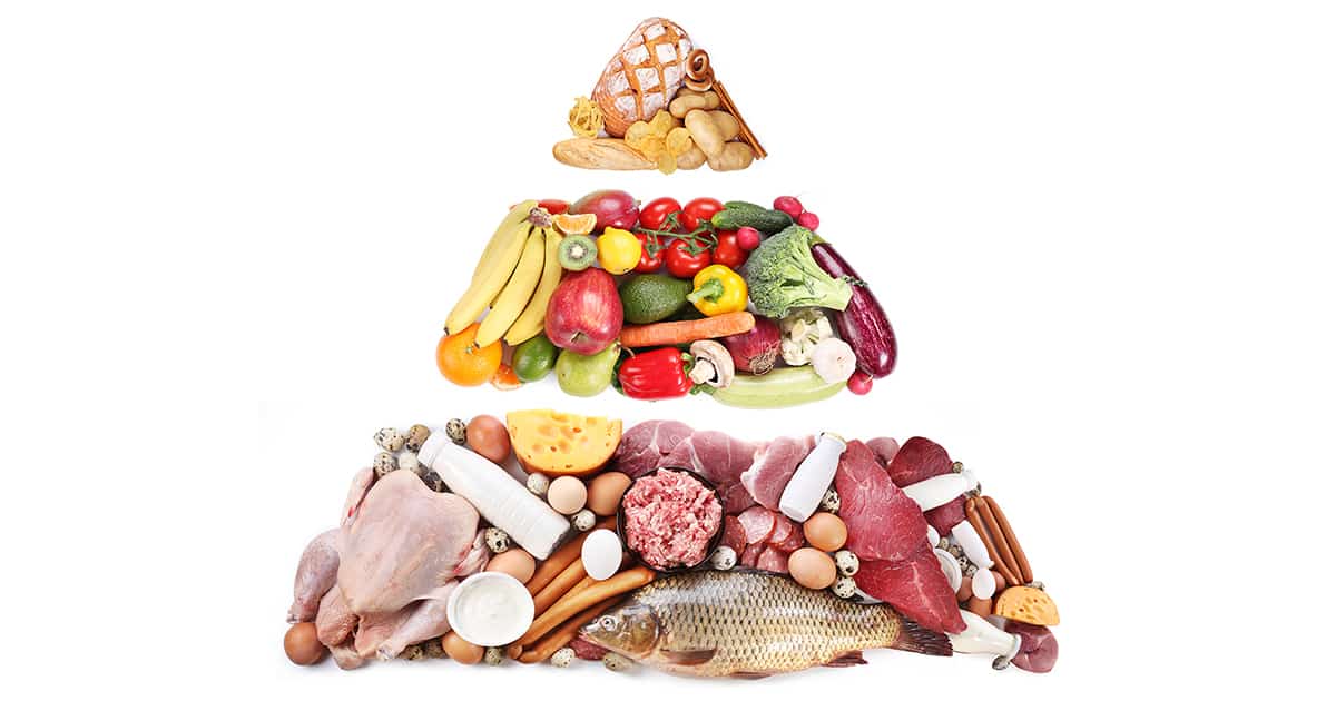 Low Carb Action Network Low Carb Nutrition Guidelines Low Carb Action Network Low Carb Nutrition Guidelines